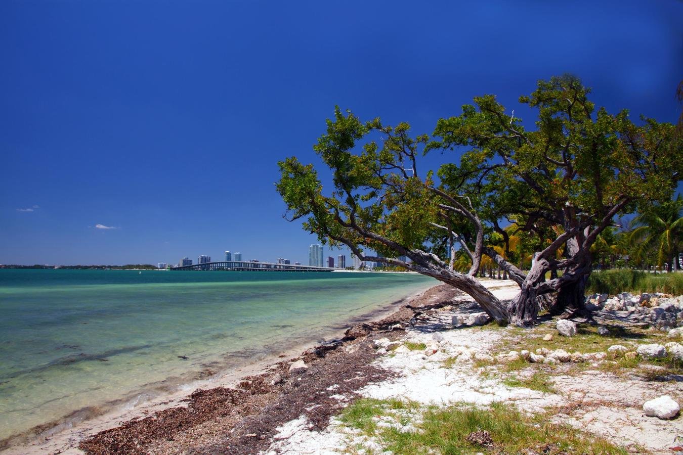 Condado de Miami-Dade cambia el nombre de una sección de Hobie Beach ...